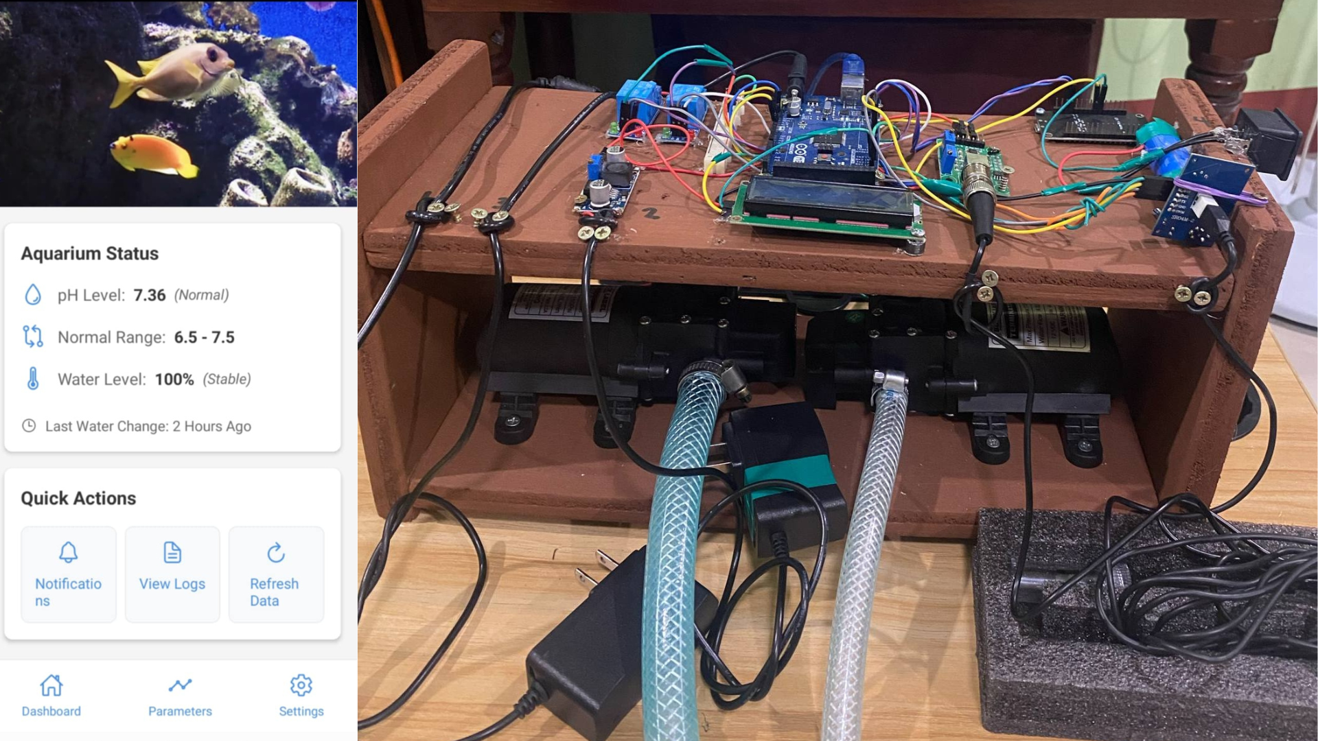 Building My Smart Aquarium | Va-ay | Freelance Full-Stack Developer